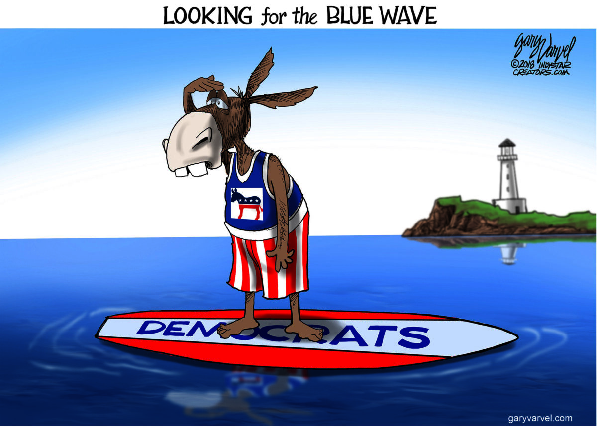 Cartoon: Blue wave? | News, Sports, Jobs - Daily Herald